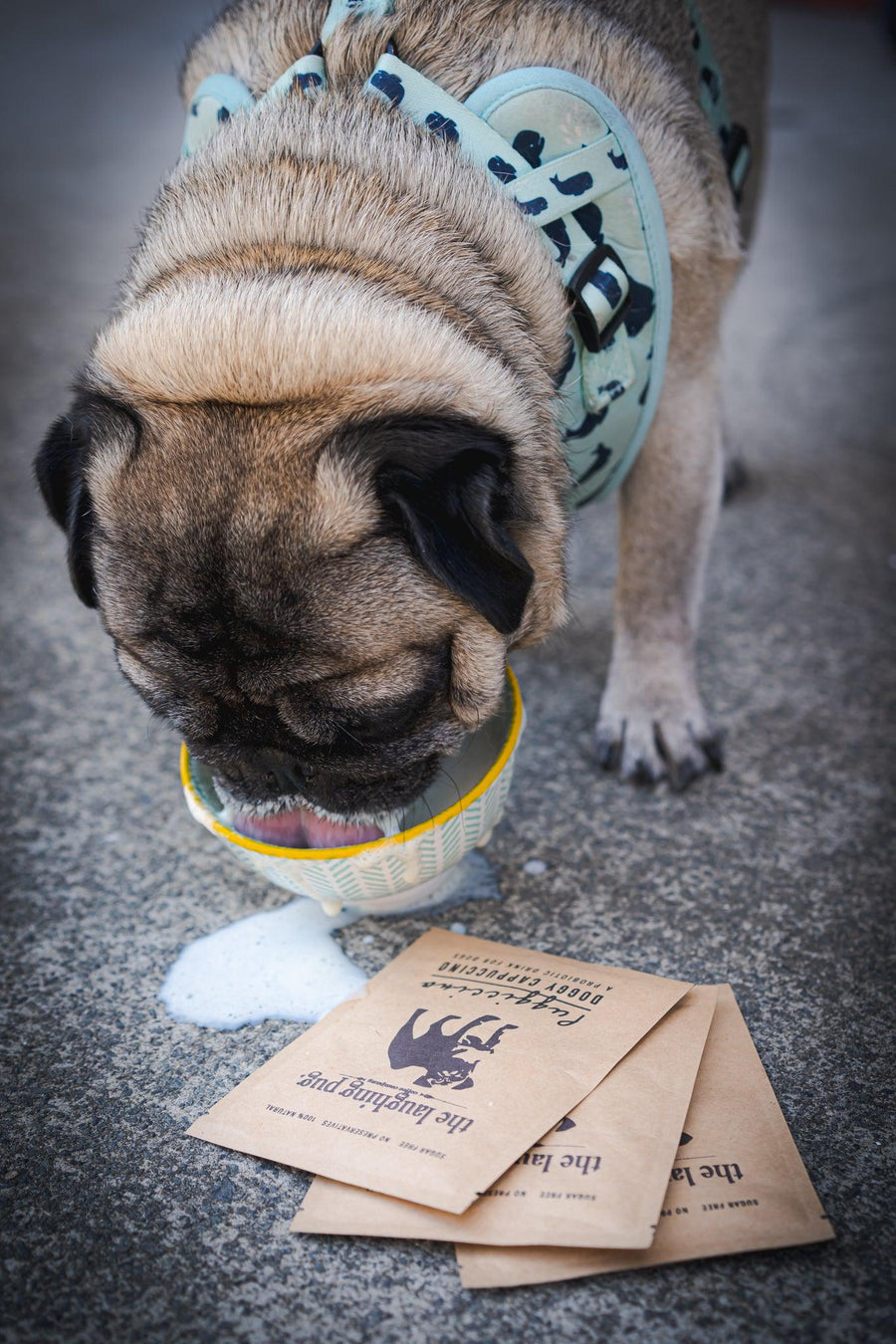 Puggiccino 5 pack (Doggy Cappuccino's) – The Laughing Pug Coffee Co